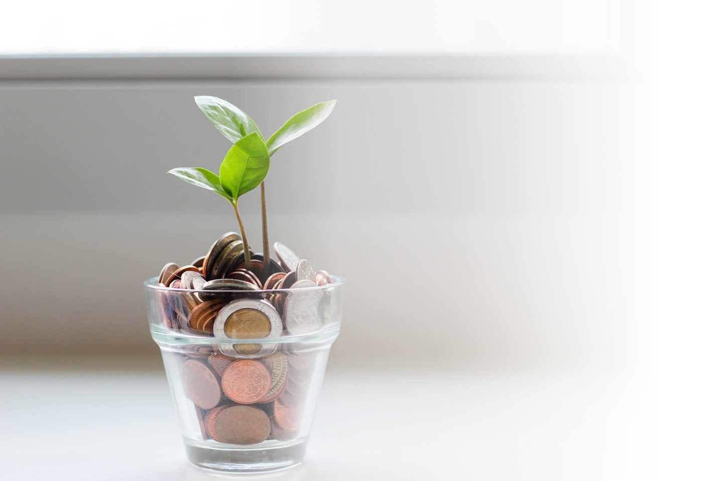 What Is a Fixed Annuity - First Manhattan Financial